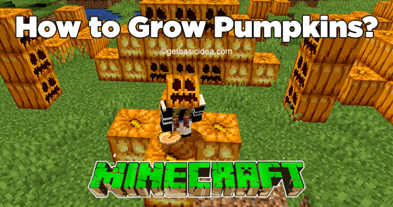 How to Grow Pumpkins in Minecraft?